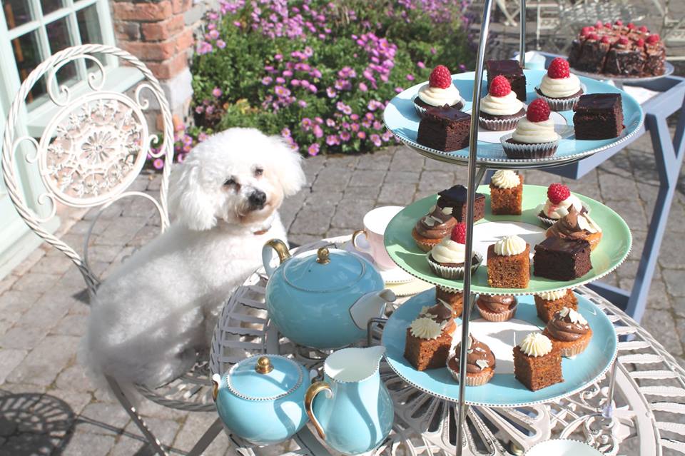 Positive Feedback & Blogs | Discover Boyne Valley Meath, Ireland