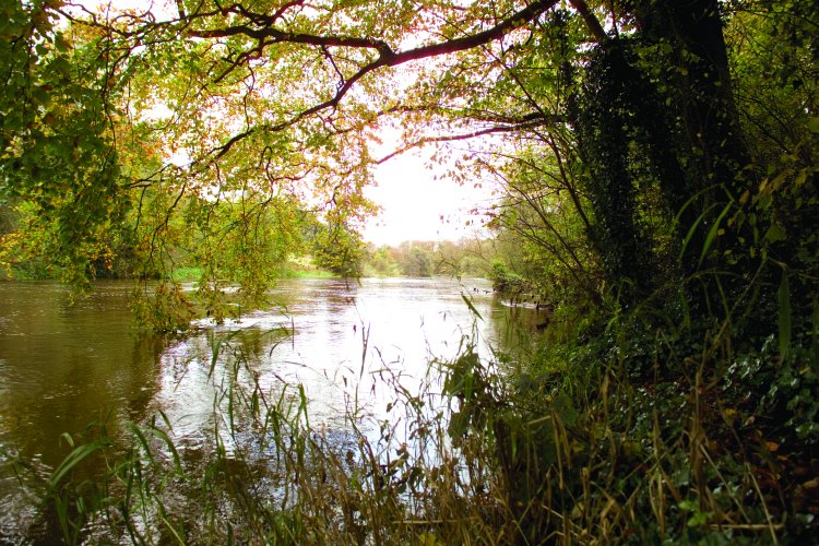 The origins of Navan | Discover Boyne Valley Meath, Ireland