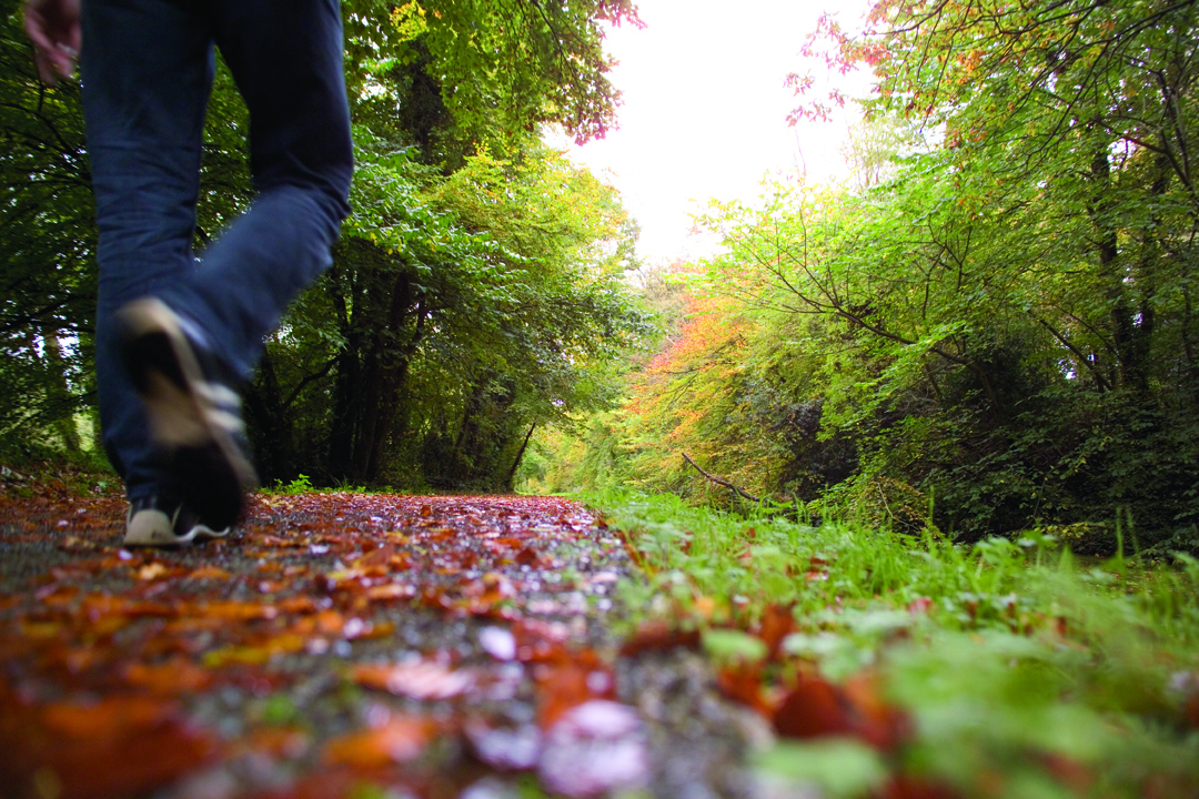 Boyne Ramparts Walk | Discover Boyne Valley Meath, Ireland