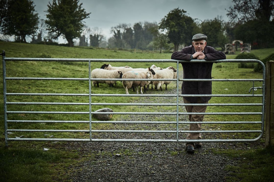 Causey Farm | Discover Boyne Valley Meath, Ireland